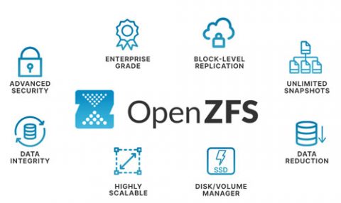ZFS: Enterprise-Grade File System - OpenZFS with TrueNAS