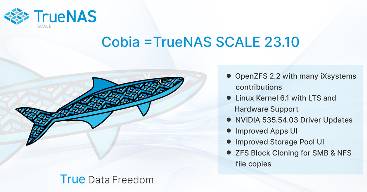 TrueNAS SCALE Cobia Has Reached BETA
